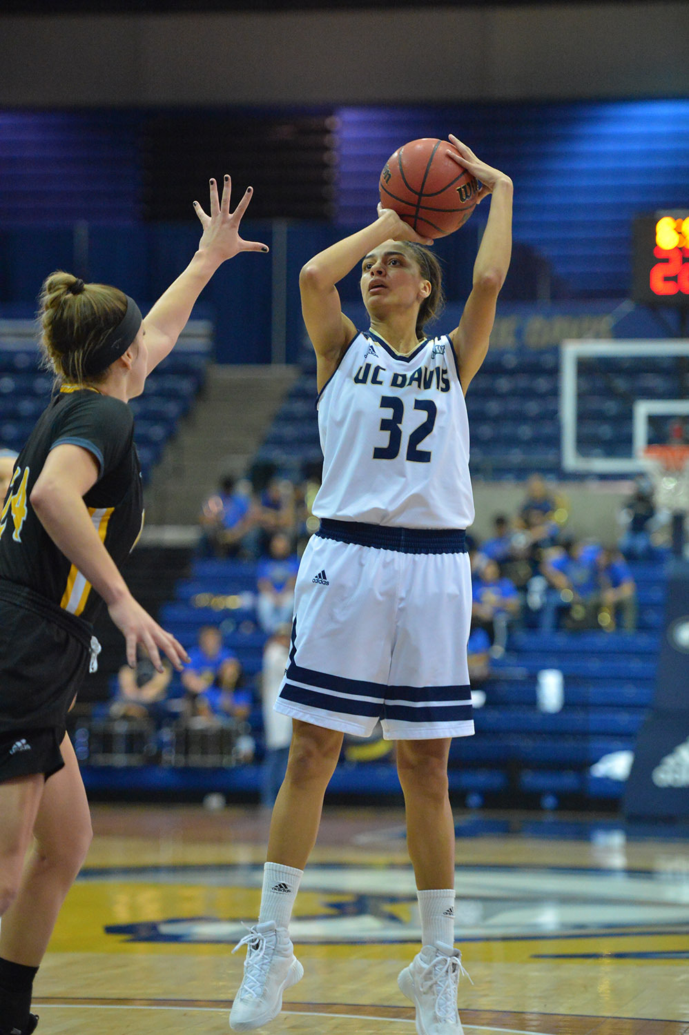 College of Biological Sciences - Scholars On and Off the Court: College ...