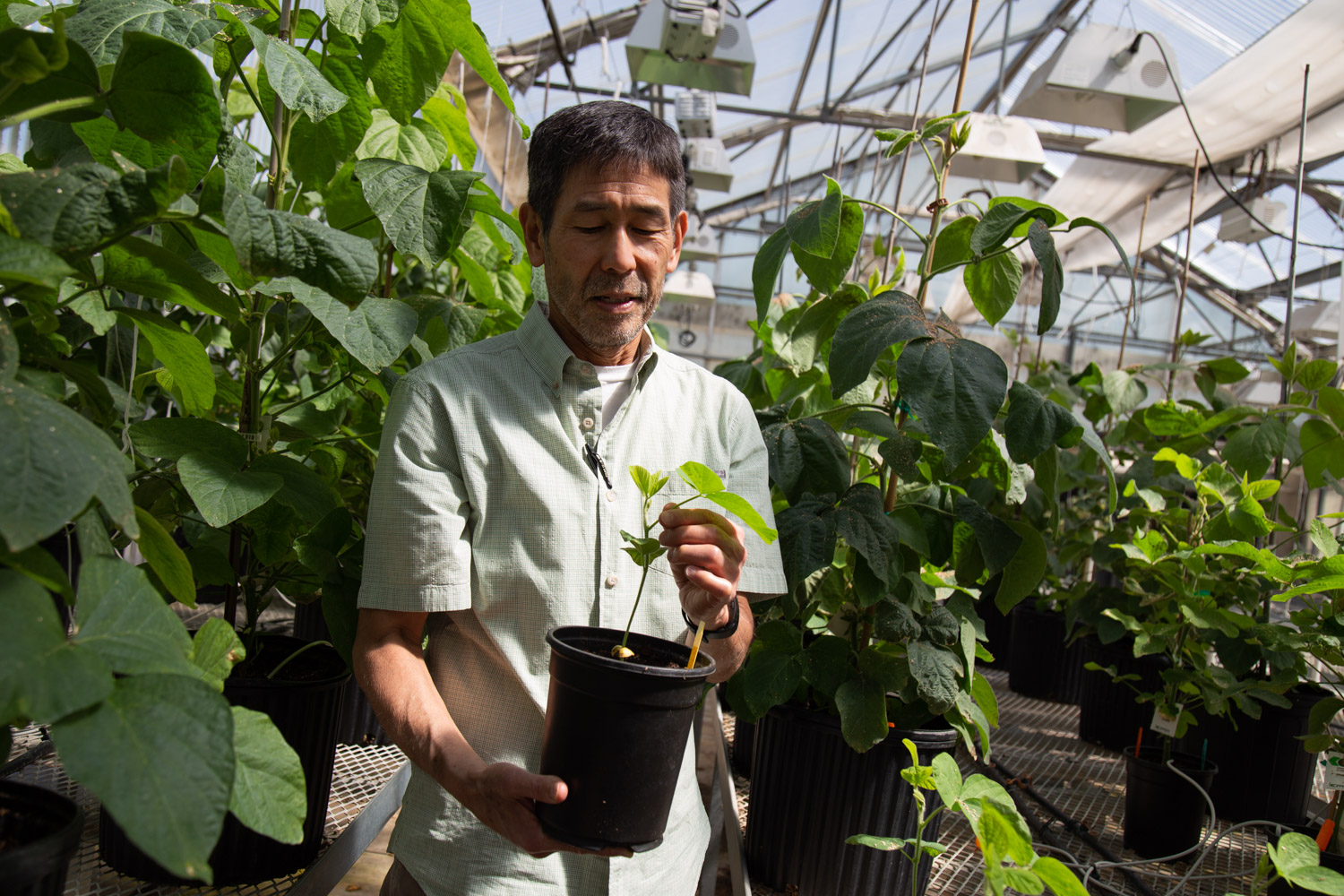 Nurturing Seeds and Growing Minds: John Harada Steps Down as Executive ...