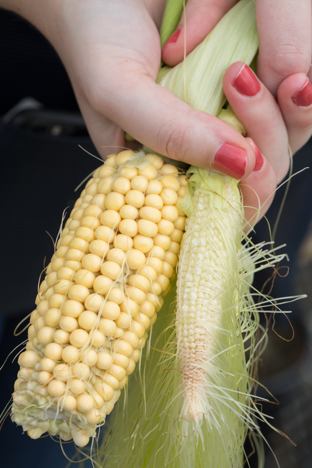 Plant Biochemistry to Feed the World via the “Corn Queen” Katherine ...