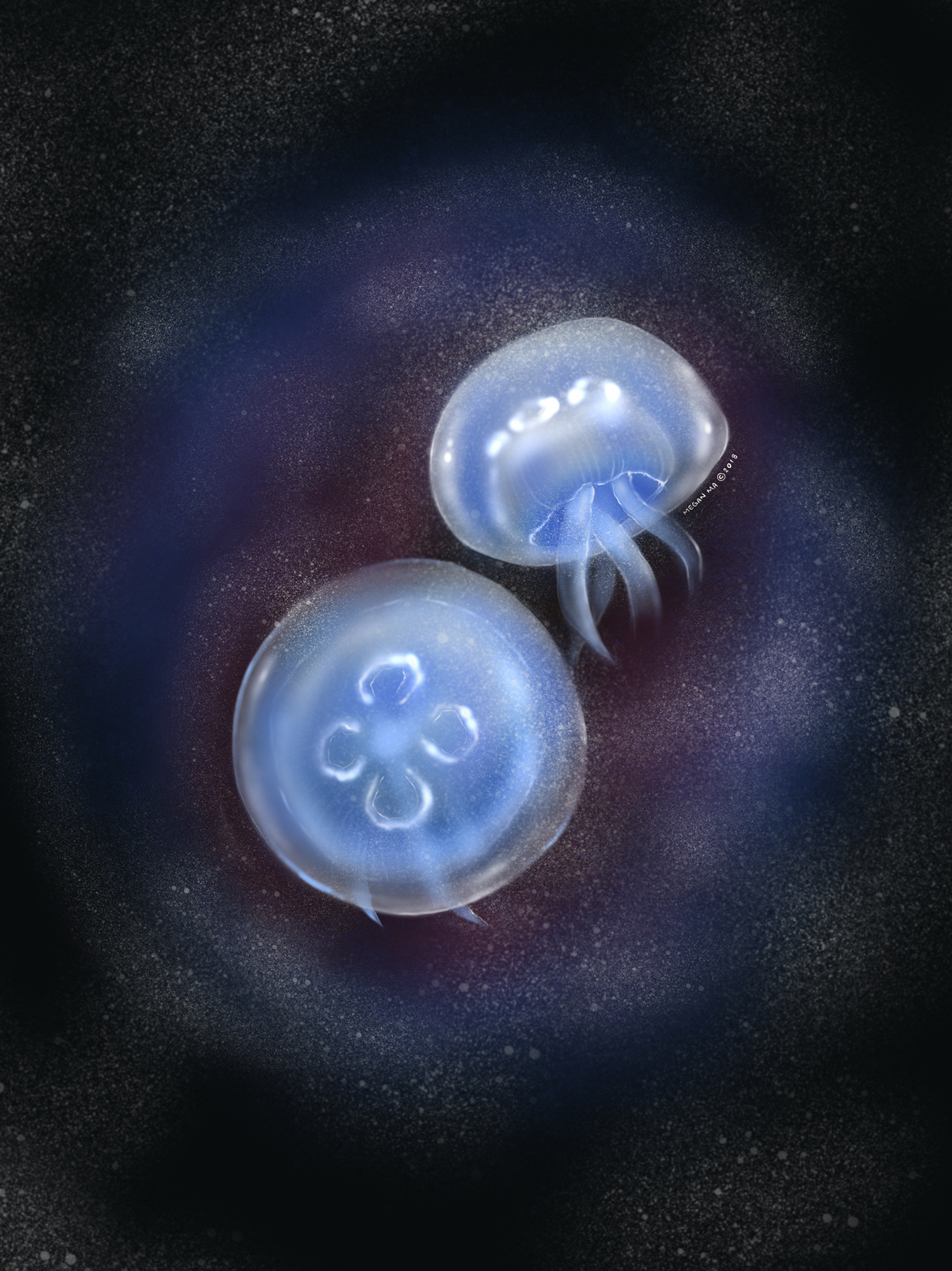 The Art-Science Loop: Creating Worlds with Evolution, Ecology and ...