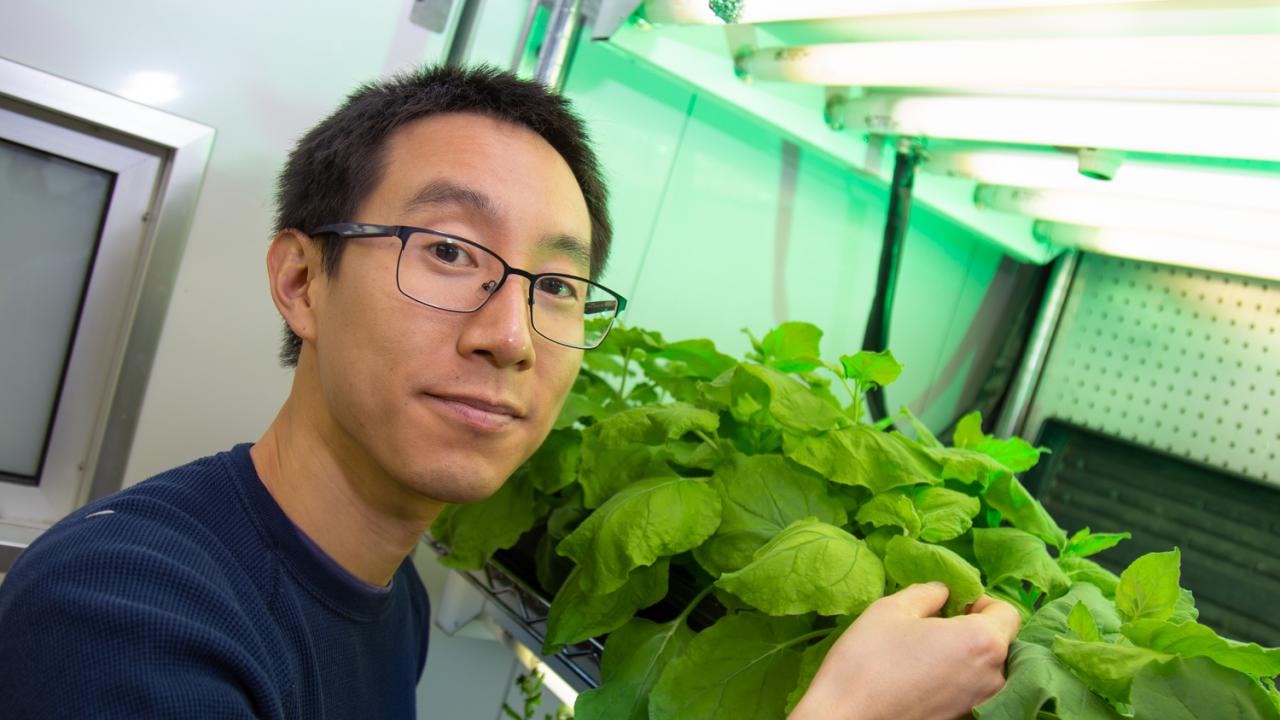 New Synthetic Biology Tools Unlock Complex Plant Engineering | College ...