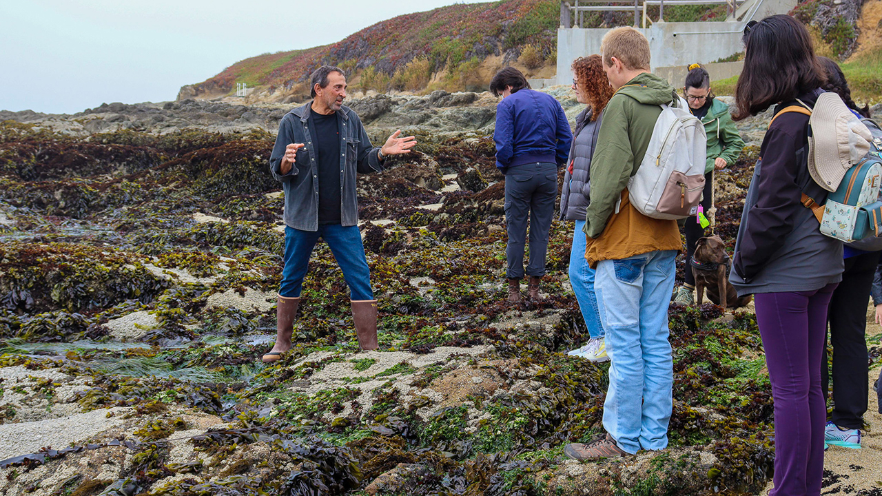 Jay Stachowicz named Interim Director of Coastal and Marine Sciences ...