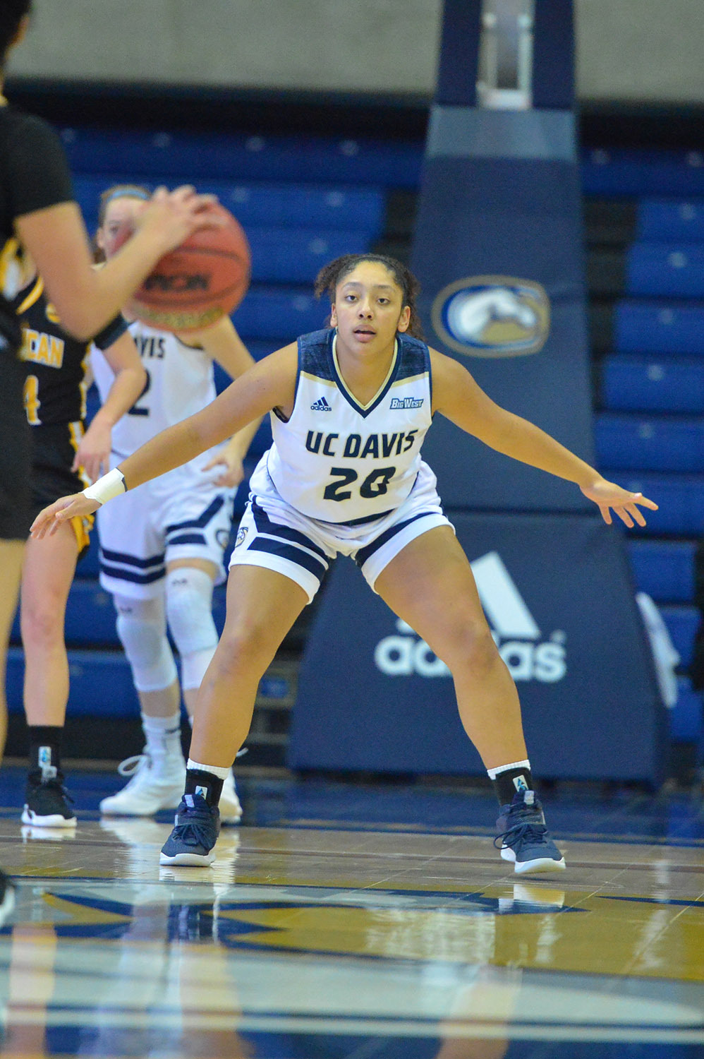 College of Biological Sciences - Scholars On and Off the Court: College ...