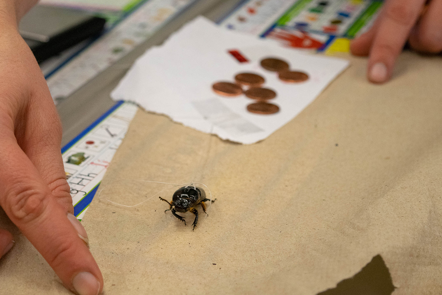 Giving the Gift of Science: UC Davis Young Scientist Program Brings ...