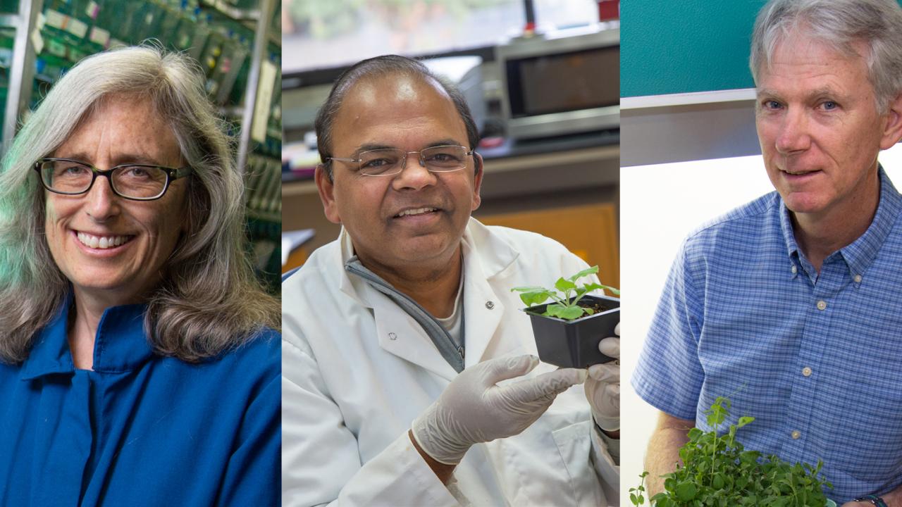 AAAS Names Three College of Biological Sciences Researchers as 2018 ...