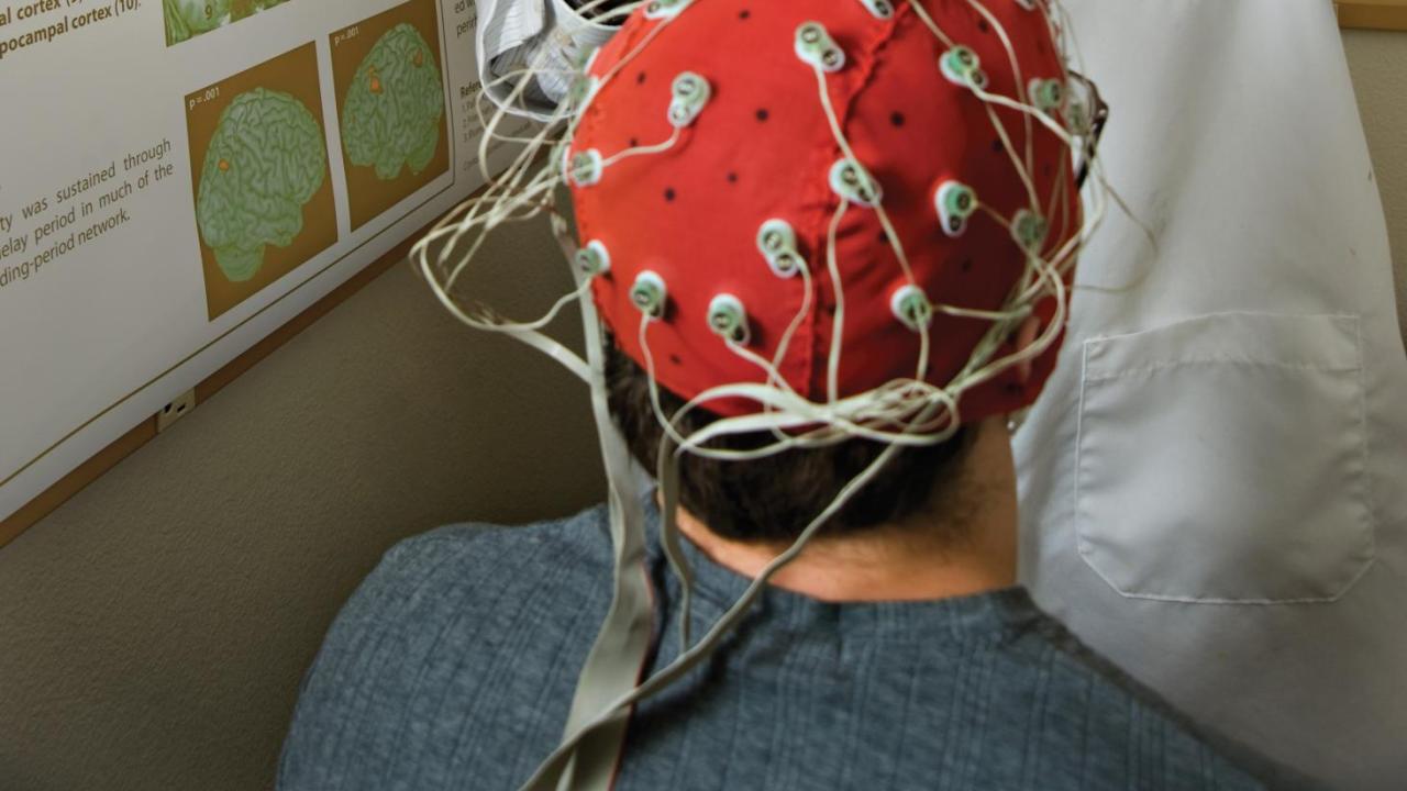 Discovering Curiosity: Making Music, Studying Memory with Charan ...