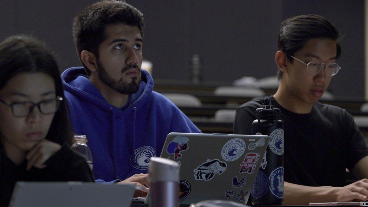 VIDEO: Summers at the Bodega Marine Laboratory with UC Davis Marine and Coastal Sciences Major ...