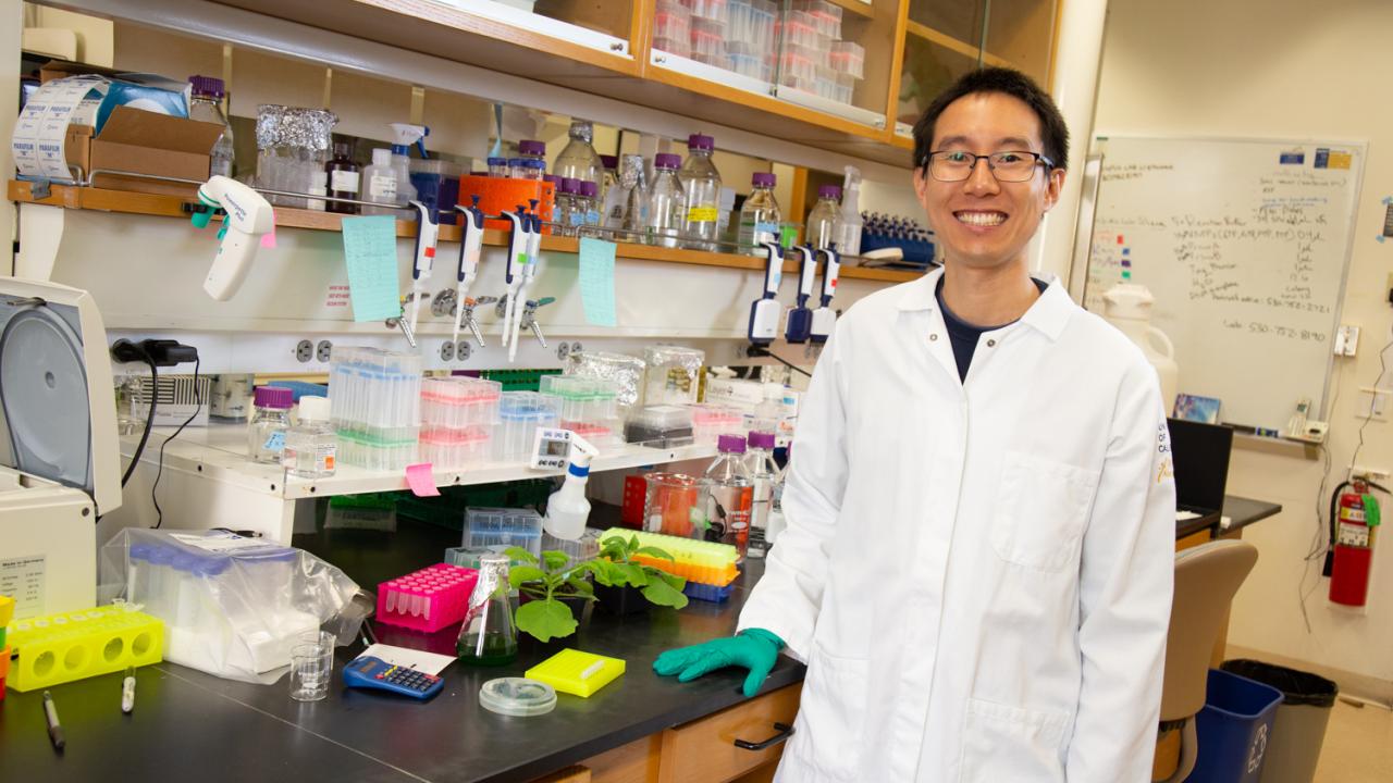 Patrick Shih Awarded Packard Fellowship | College of Biological Sciences