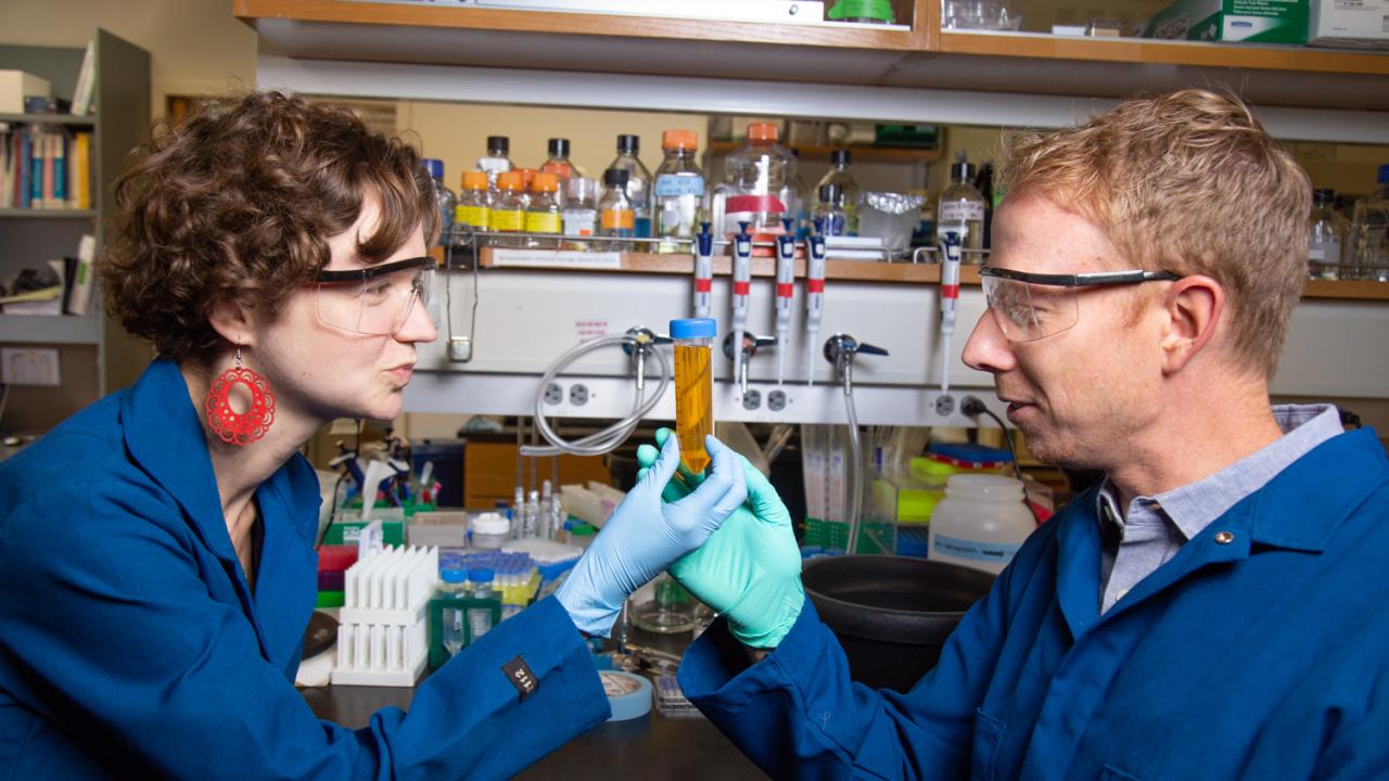 Perfect Chemistry: CBS Faculty Are Partners In and Outside the Lab | College of Biological Sciences