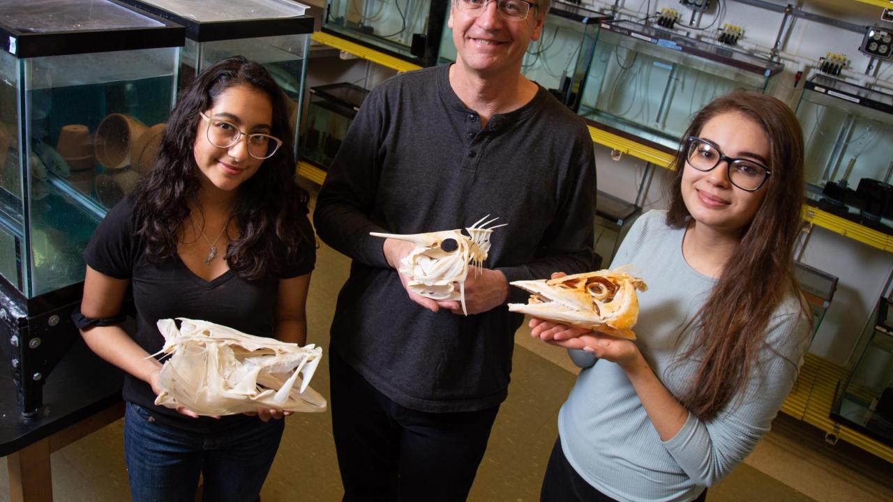 How Does a Fish Get Its Shape? Students Explore Smithsonian National ...