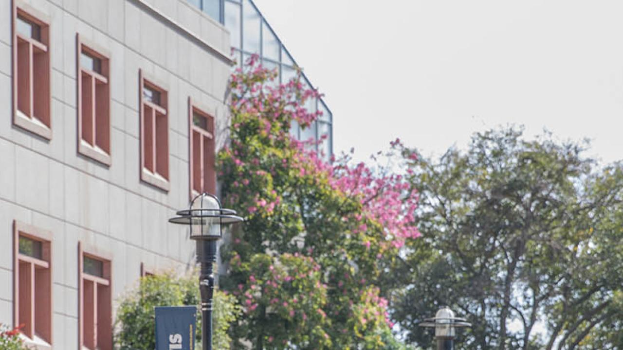 Our Alumni and Giving Team | College of Biological Sciences