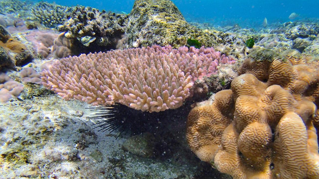 From the Dean: Falling into Place | College of Biological Sciences