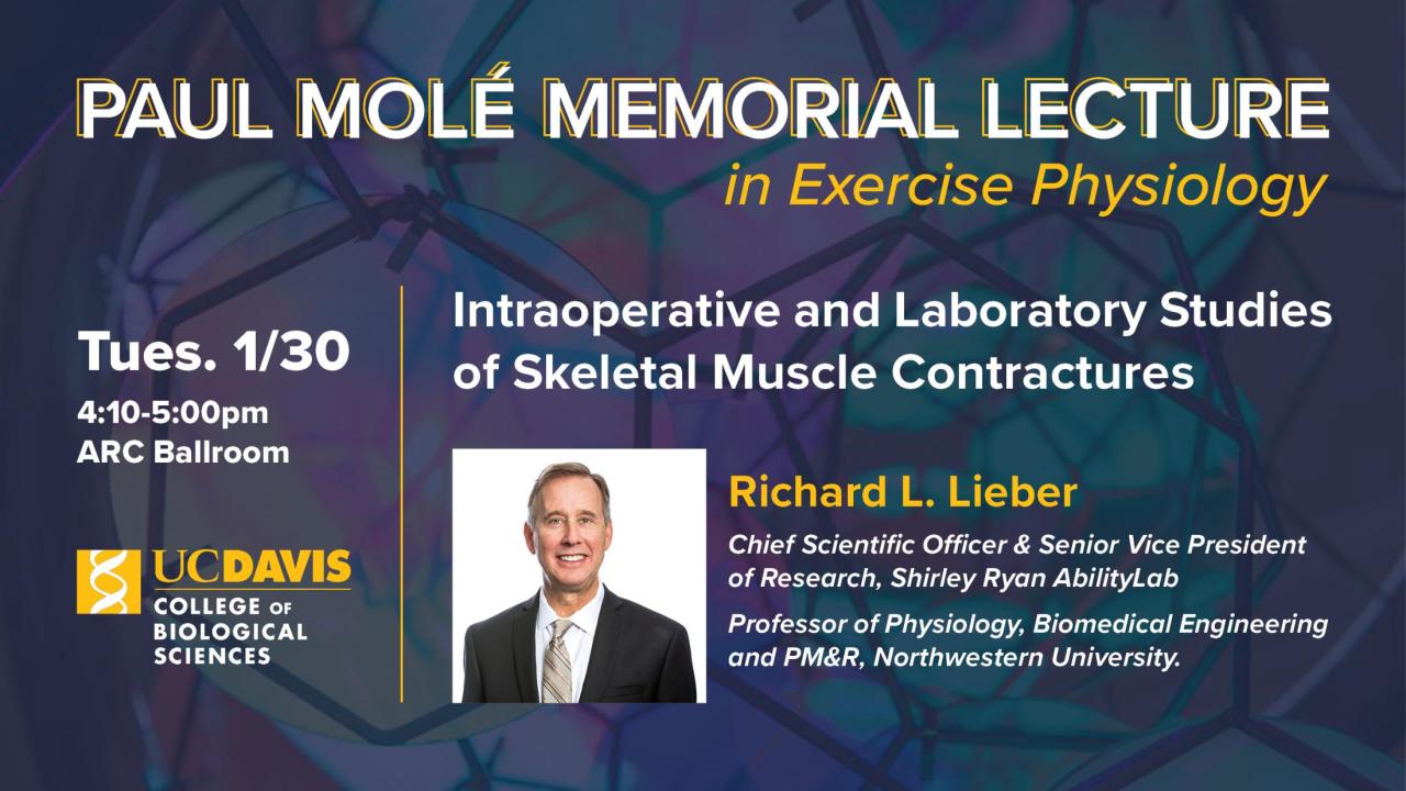 Molé Lecture: Richard L. Lieber, "Intraoperative and Laboratory Studies ...