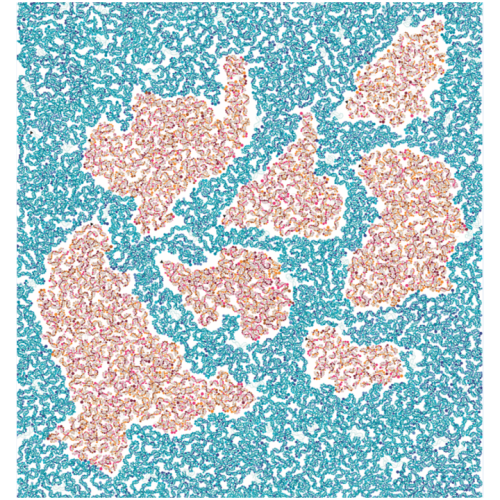 Earth BioGenome Project Begins Genome Sequencing in Earnest | College ...